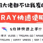 winXray for windows |pc电脑如何上外网 - 自由鸟