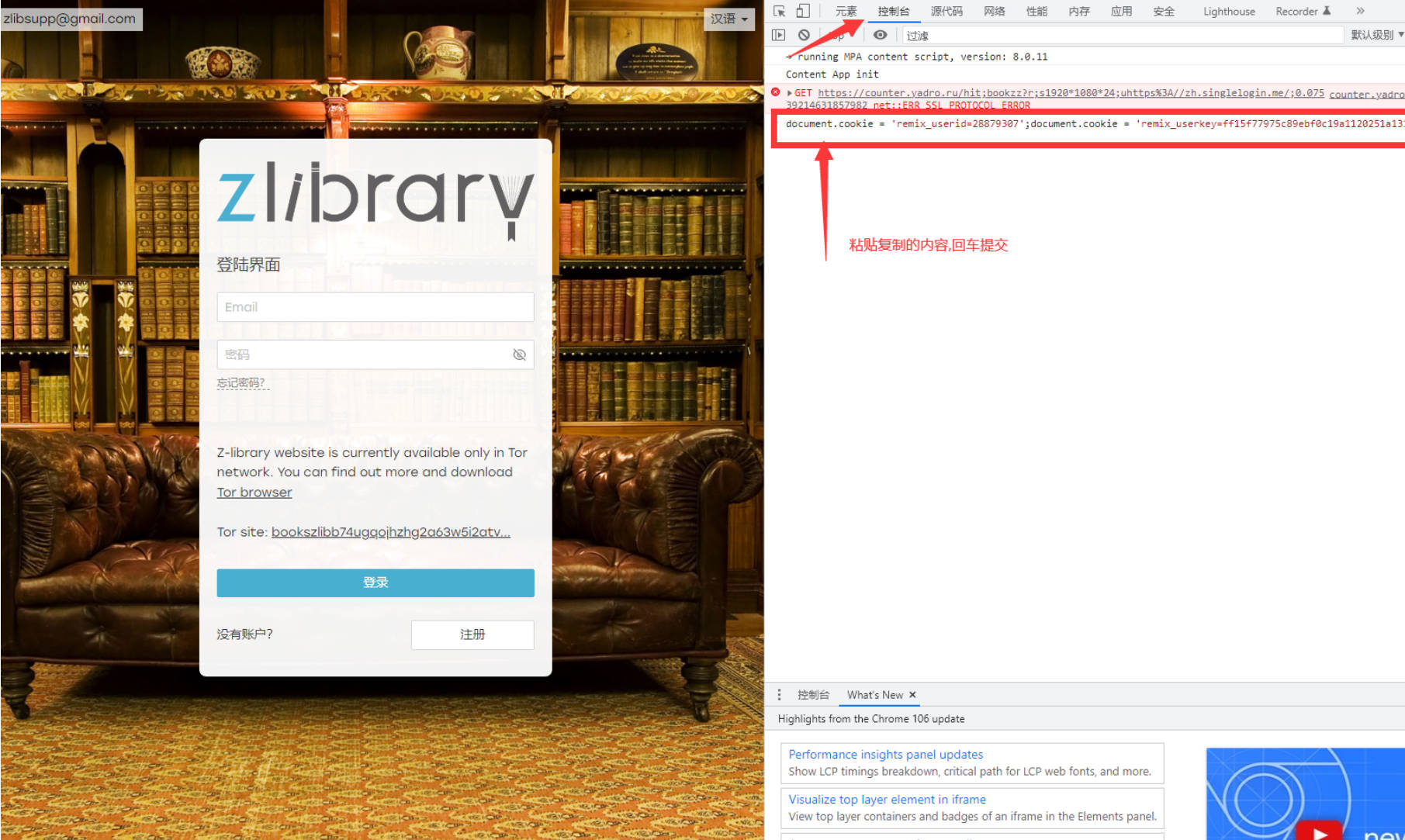 Z-Library 打不开怎么办?| 3种最新使用 TOR 浏览器下载 ZLibrary 资源详细教程 - 自由鸟